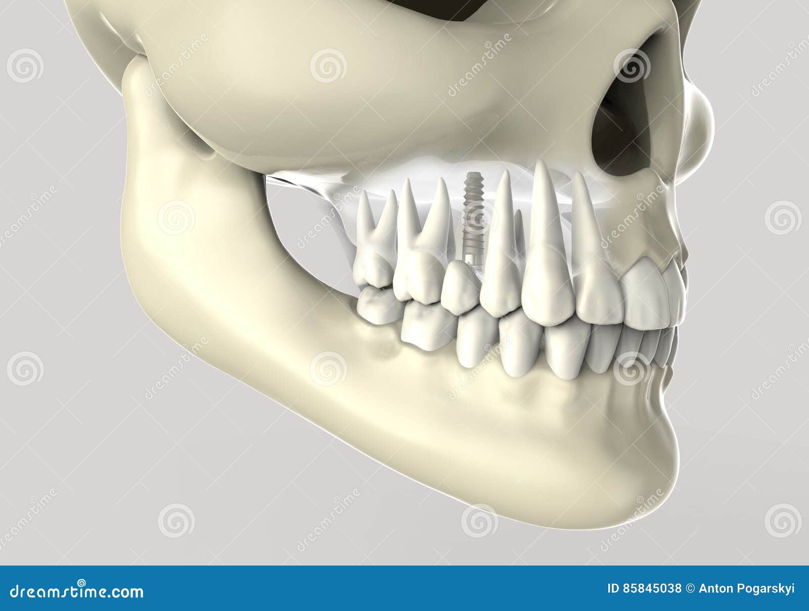 3D rendering teeth stock illustration. Illustration of dental - 85845038 3D rendering teeth stock illustration. Illustration of dental - 85845038