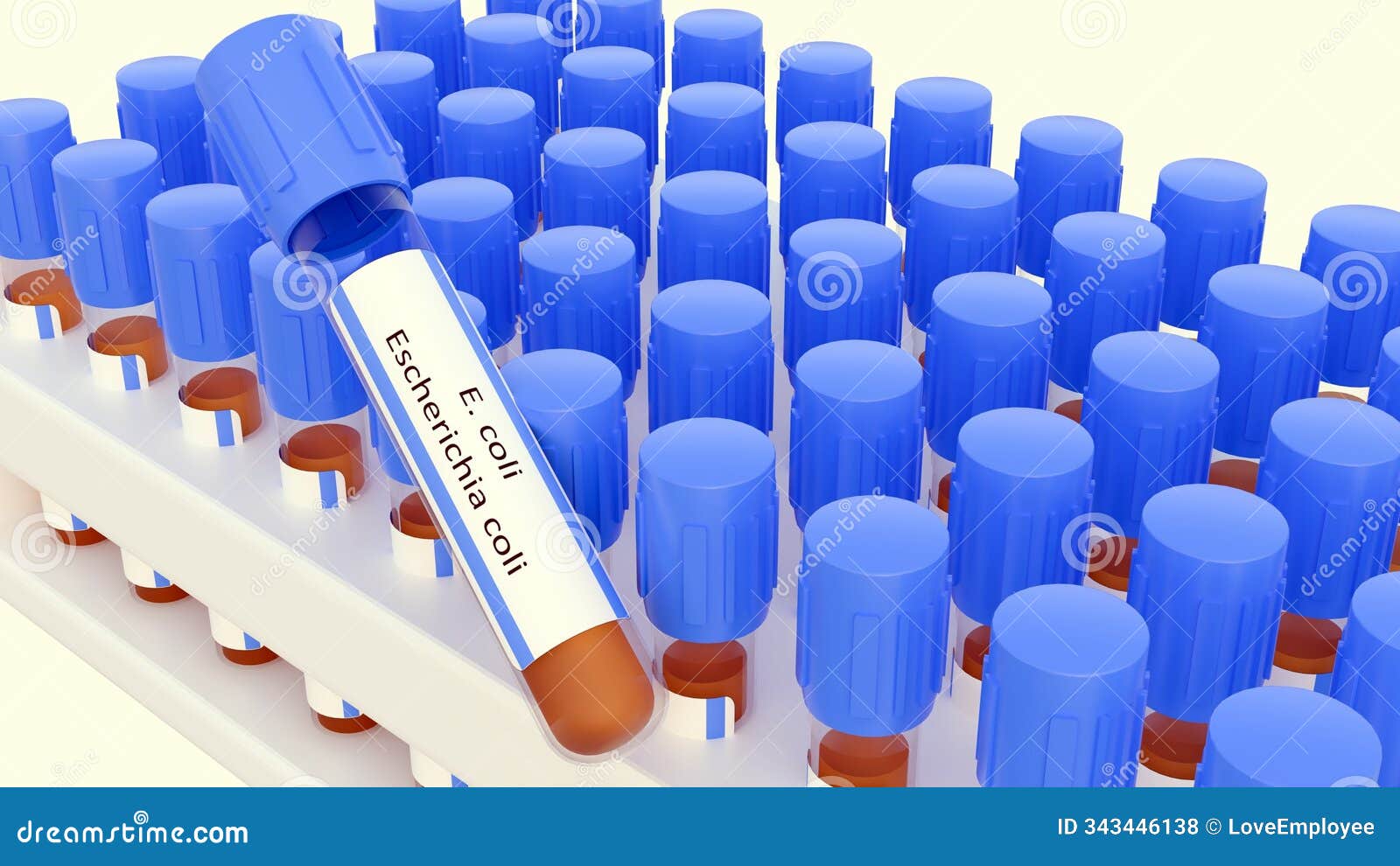 3d Rendering of Test Tubes Labeled with "E. Coli" and "Escherichia Coli ...
