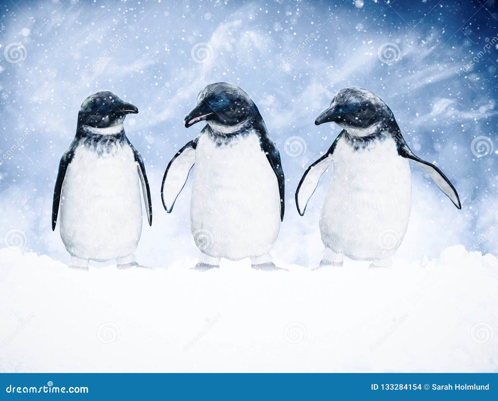 3D Rendering of Three Penguins in Snow Stock Illustration ...