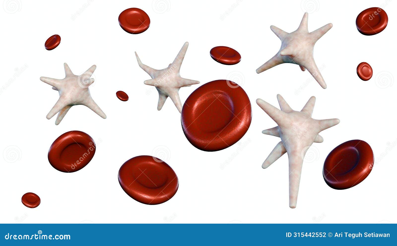3d Rendering of Thrombocytes and Red Blood Cells Stock Illustration ...