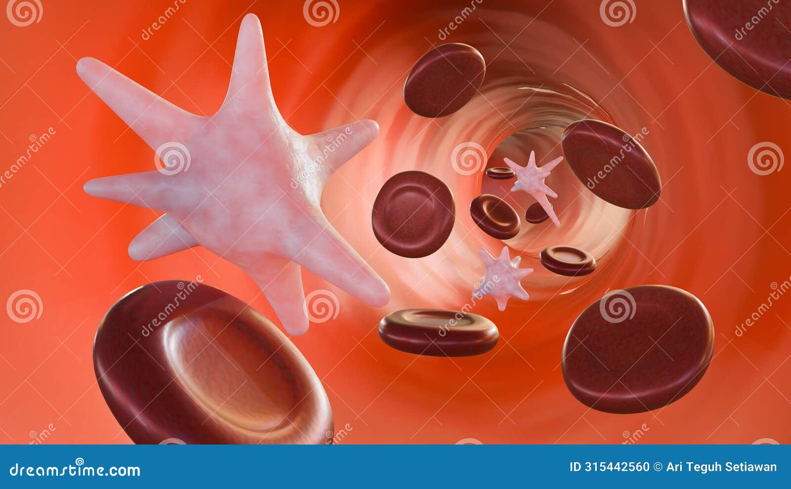 3d Rendering of Thrombocytes and Red Blood Cells Stock Illustration ...