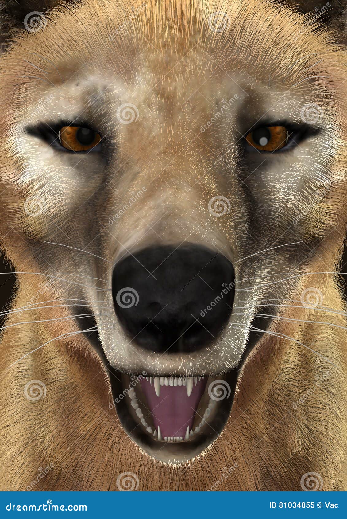 3D Rendering Thylacine stock illustration. Illustration of face - 81034855