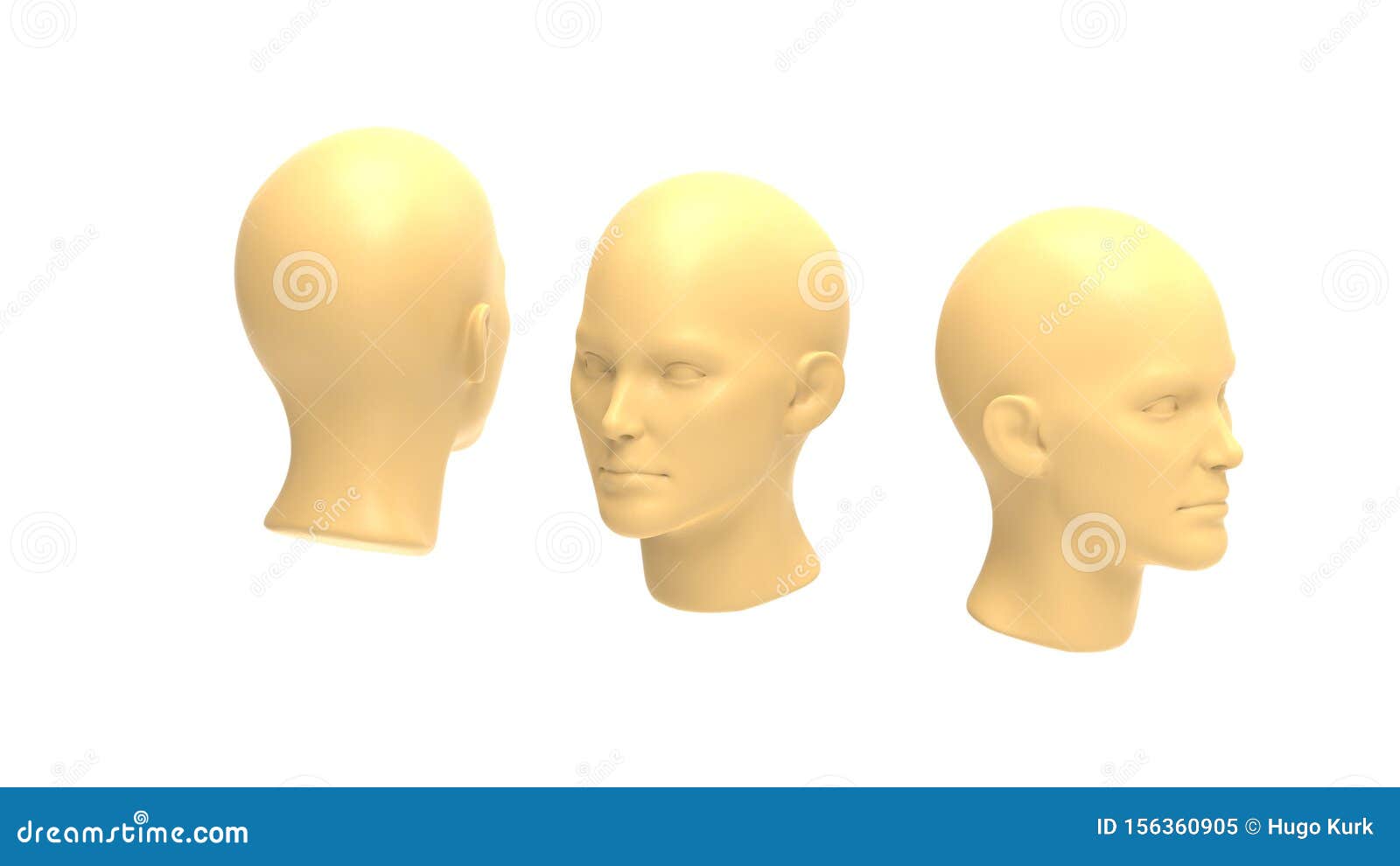 3d Rendering of a Human Model Isolated in White Background Stock ...
