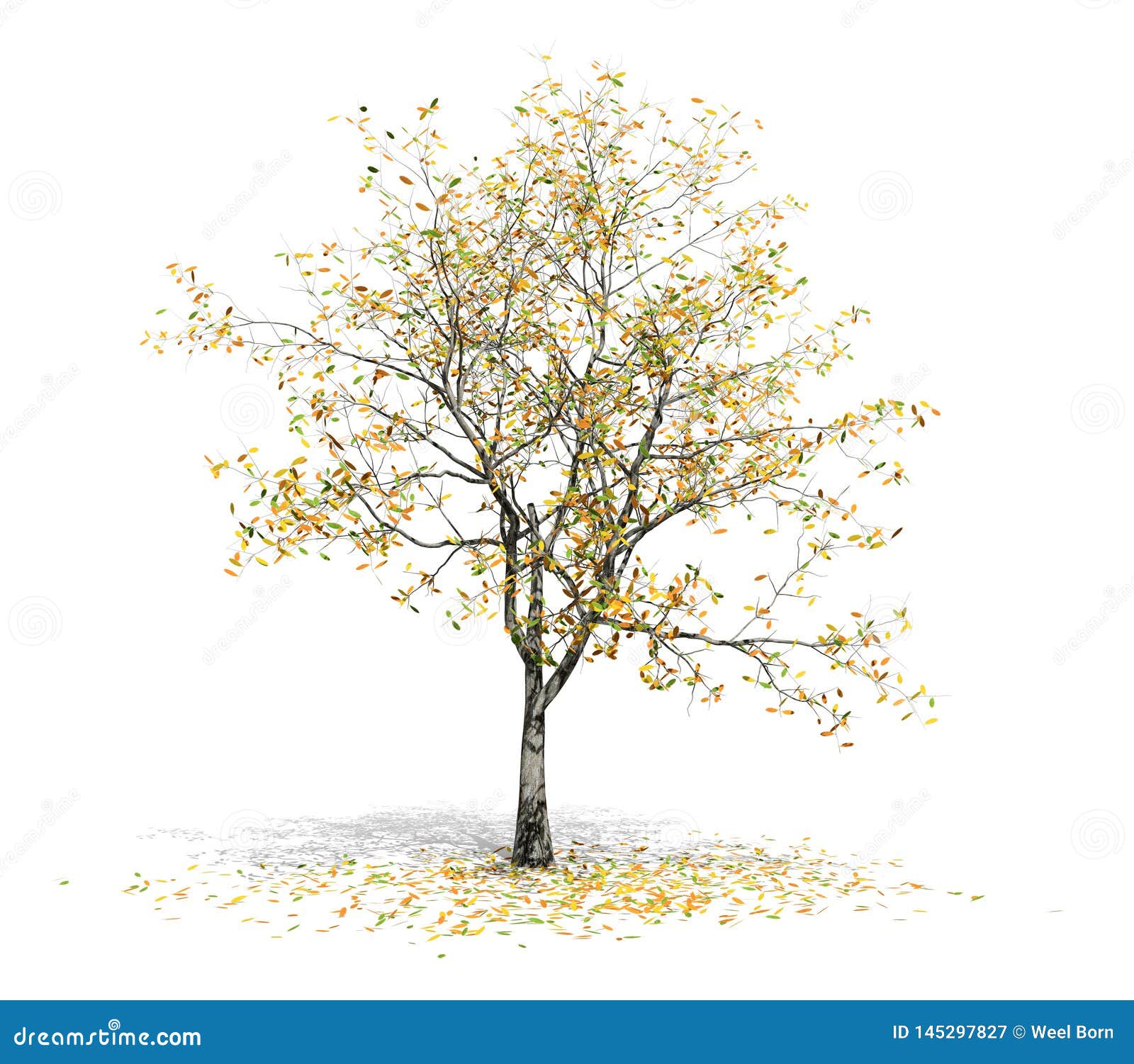 3D Rendering - a Tree Isolated Over a White Background Stock ...