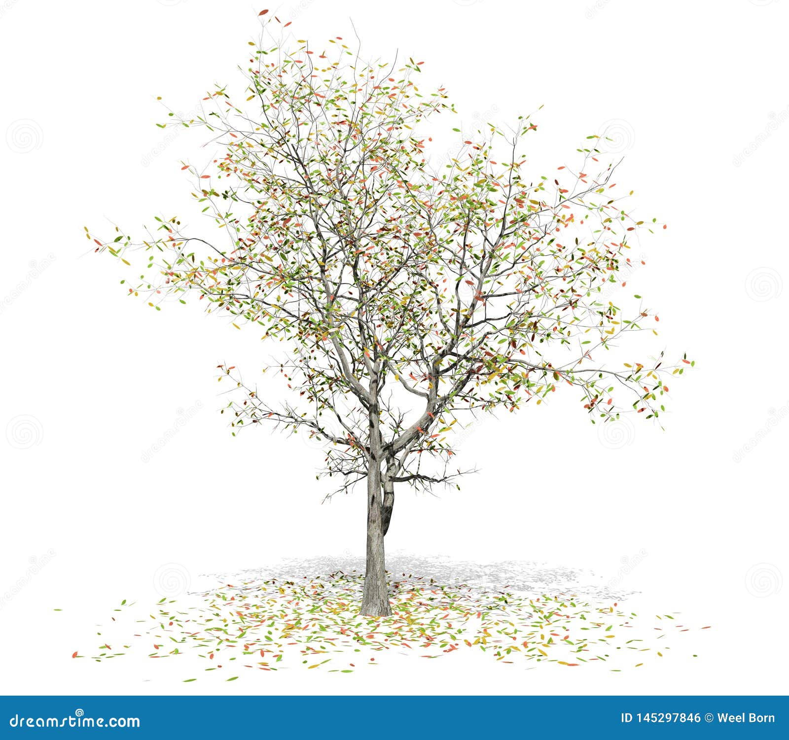 3D Rendering - a Tree Isolated Over a White Background Stock ...