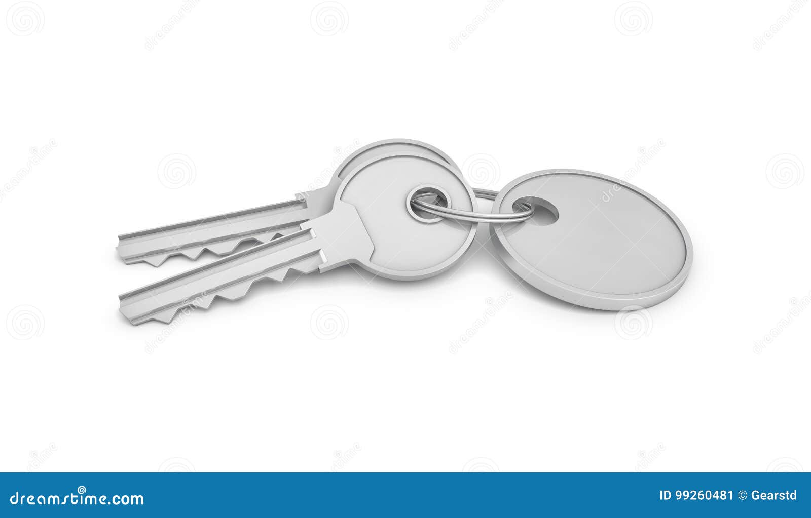 3d Rendering of Two Isolated Silver Keys on a Key Ring with Label Stock ...
