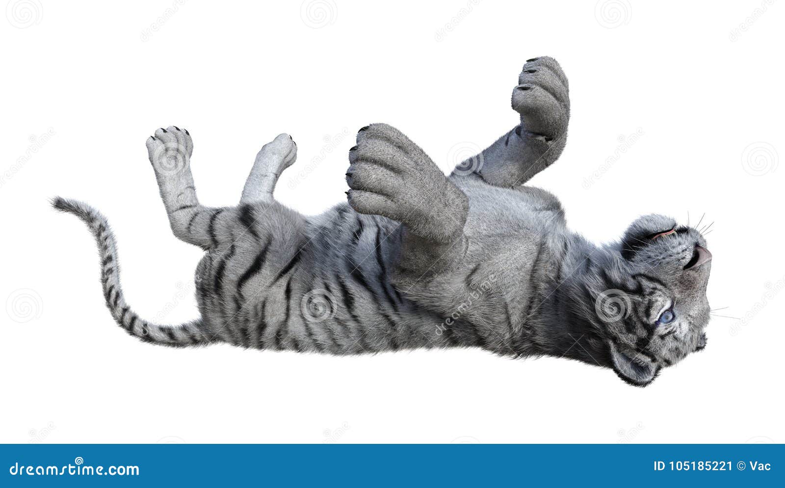 3D Rendering White Tiger on White Stock Illustration - Illustration of ...