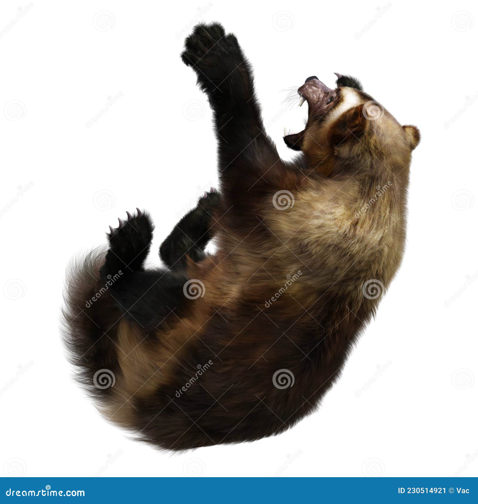 Wolverine Animal Icon. Cartoon Vector | CartoonDealer.com #258937307