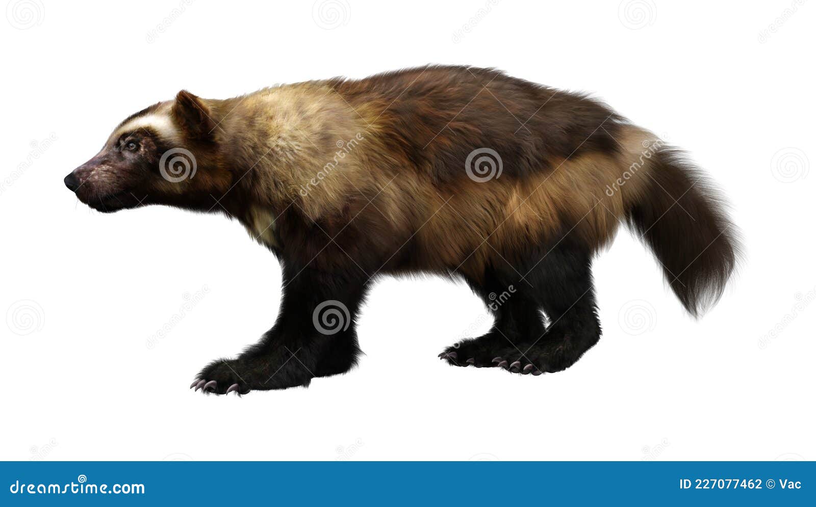 Wolverine Standing Hind Legs Retro Cartoon Vector | CartoonDealer.com ...