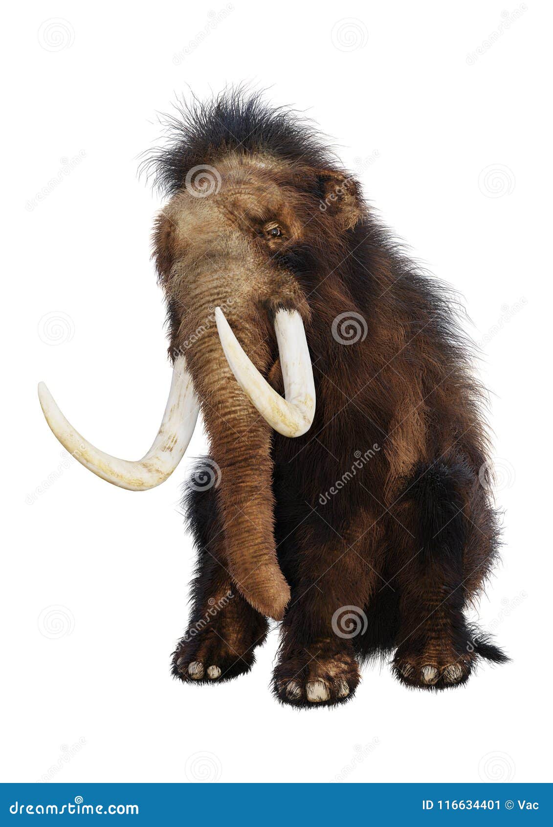 3D Rendering Woolly Mammoth Baby On White Royalty-Free Stock ...
