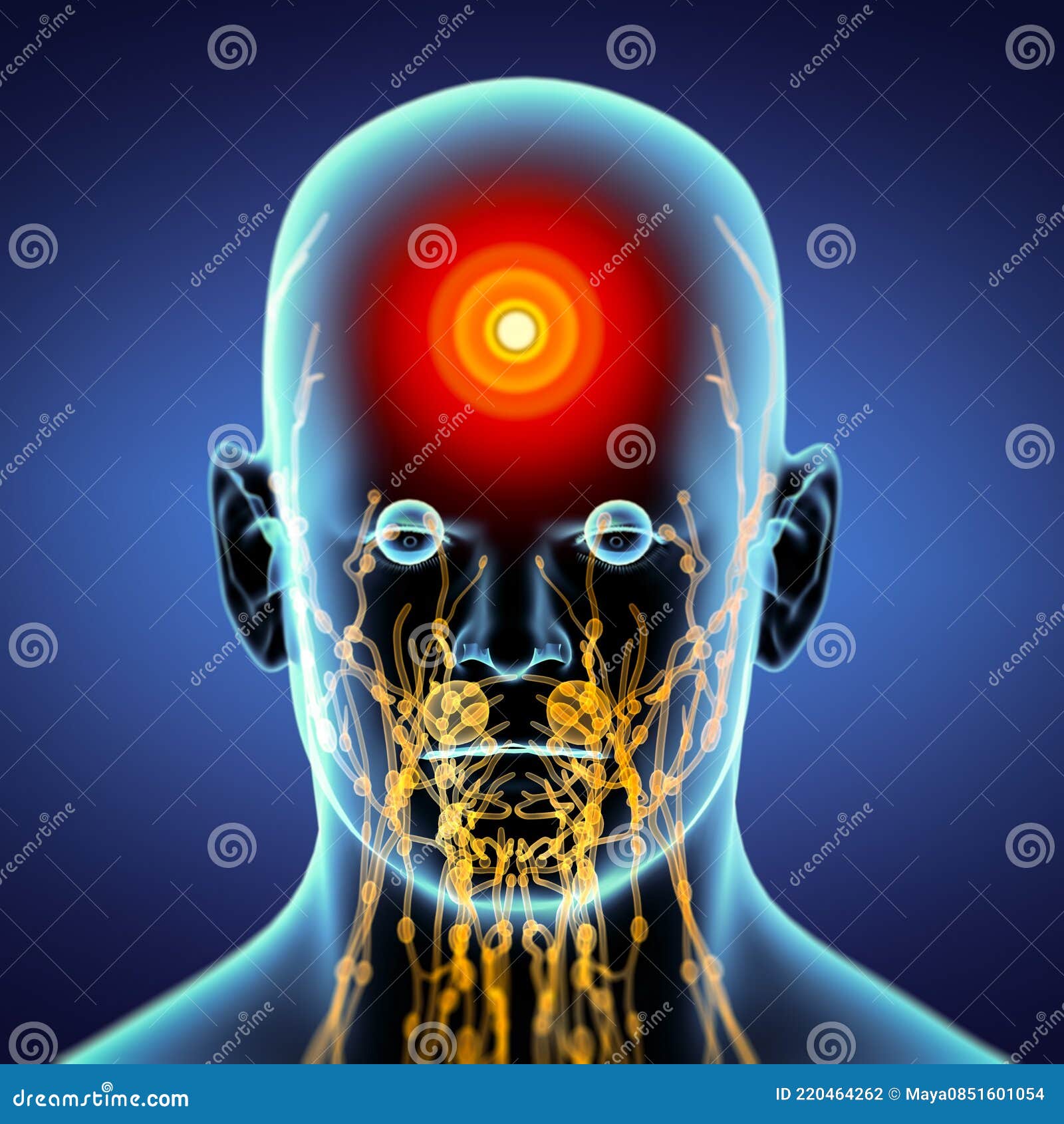 3d Rendering of Yellow Lymphatic System Stock Illustration ...