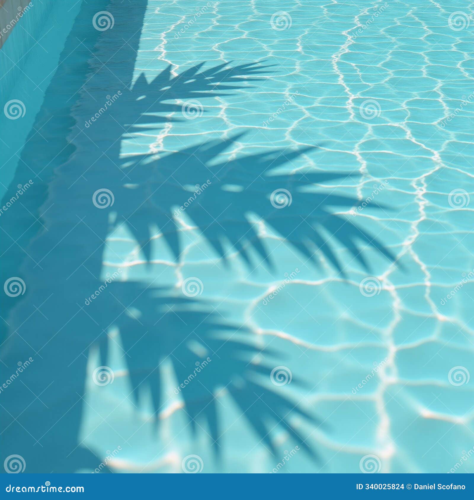 3D Rendition Showcases Intricate Palm Leaf Shadows Dancing on a ...