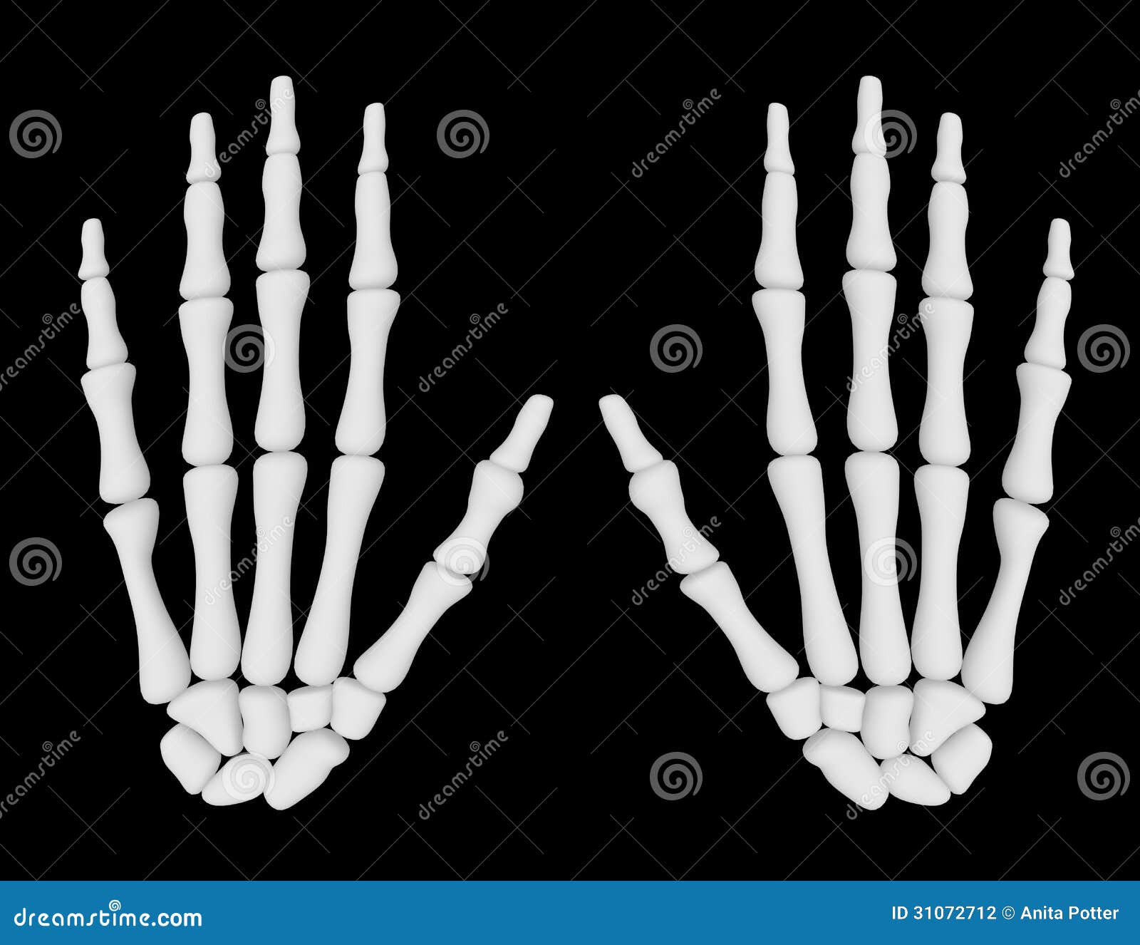 3d Rendono Di Un Paio Delle Mani Di Scheletro Illustrazione di Stock ...