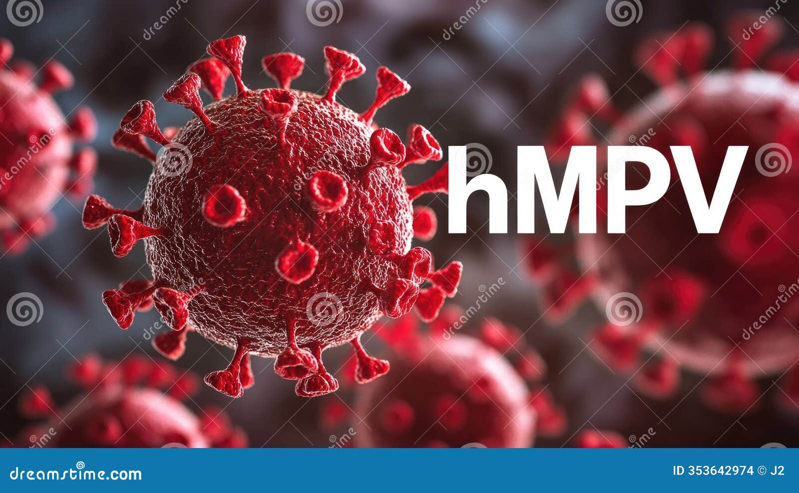 3d Representation Of Human Metapneumovirus Hmpv Structure. HMPV, Human ...