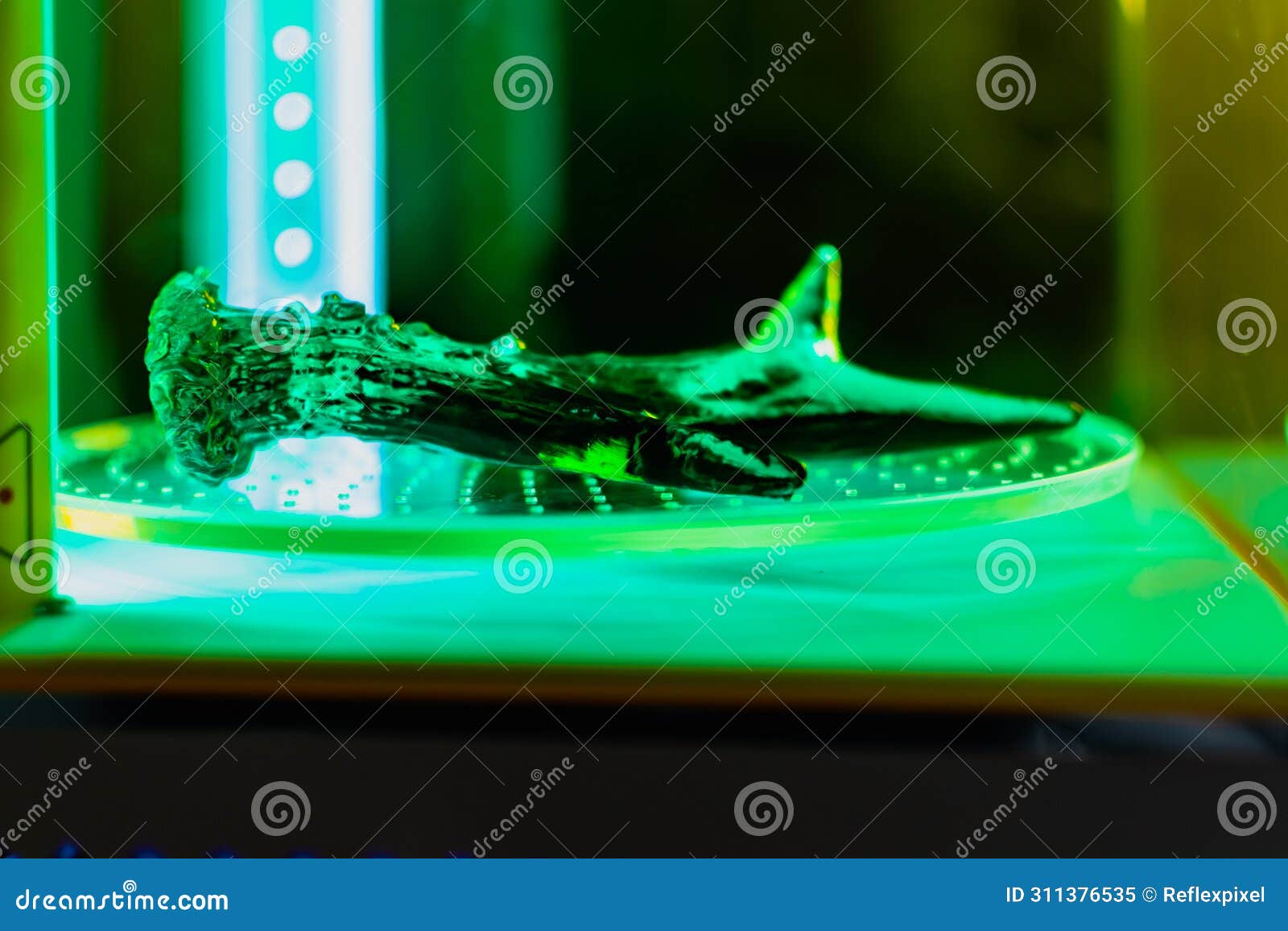 3d Resin Printing of a Deer Antler Turning in a Cure Machine Using UV ...