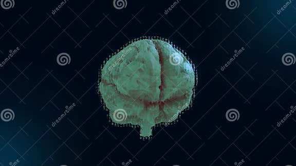 3D Rotating Brain Model with Binar Cod. Motion Graphic of Digital Brain ...