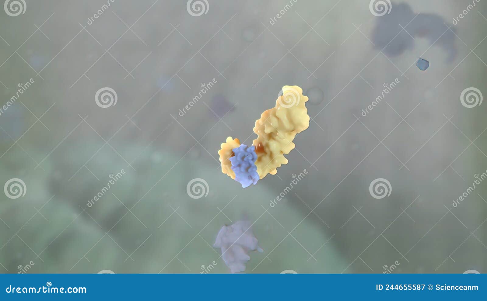 3D Scientific Animated Destruction of in Tracellular Protein Stock ...