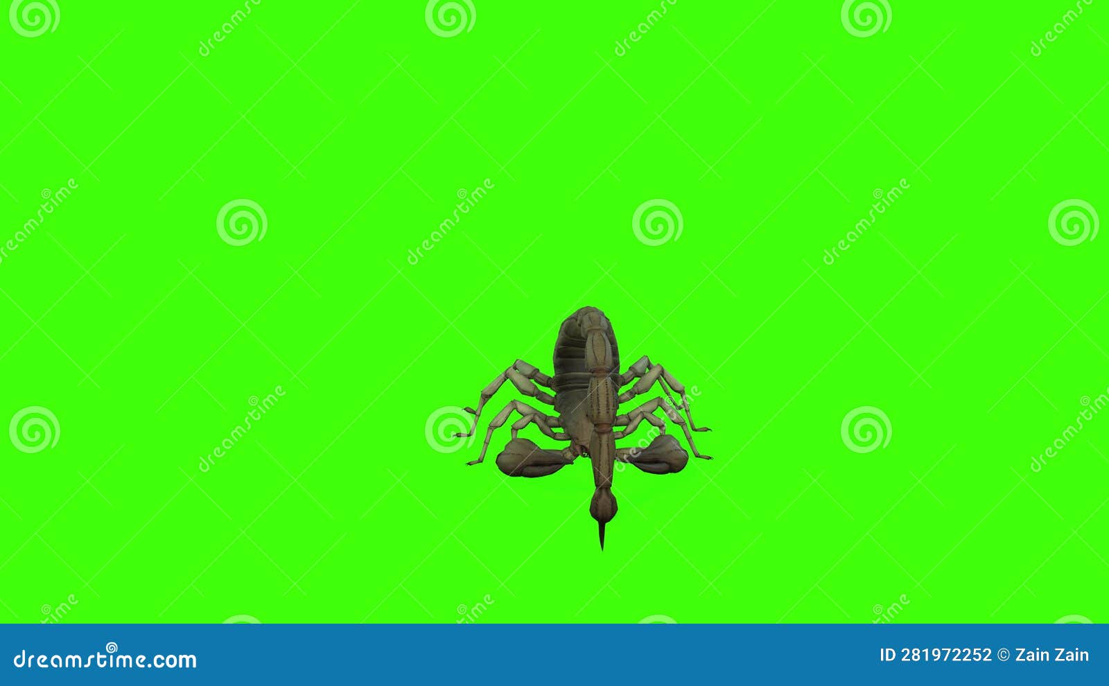 3D Scorpion Very Angry Mood Attacking Front View Loop Animation Green ...