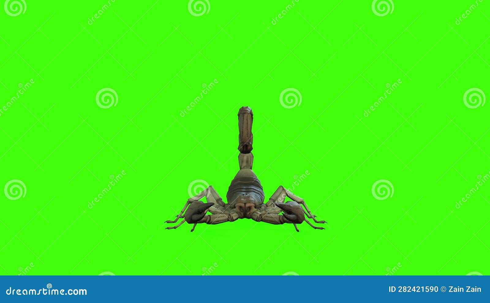 3D Scorpion Very Angry Mood Attacking Front View Loop Animation Green ...