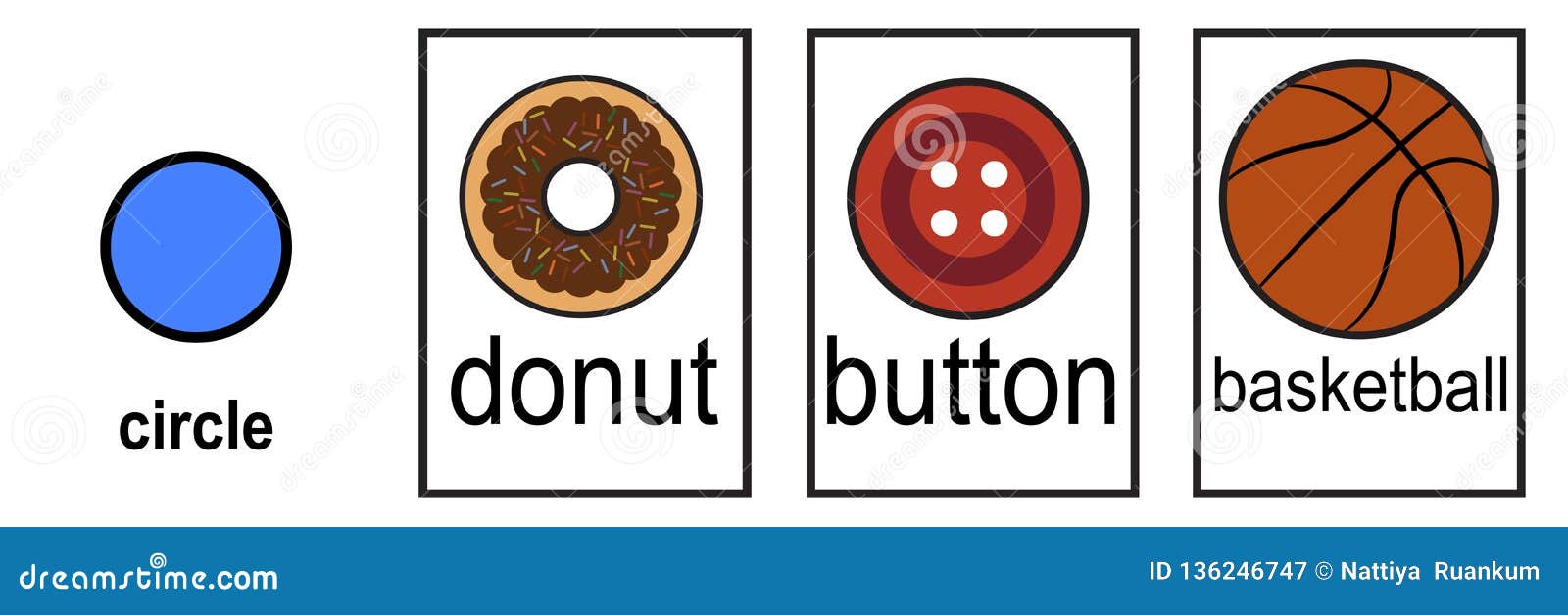 2D Shape Matching Shape To Real Life Object on White Background Vector ...