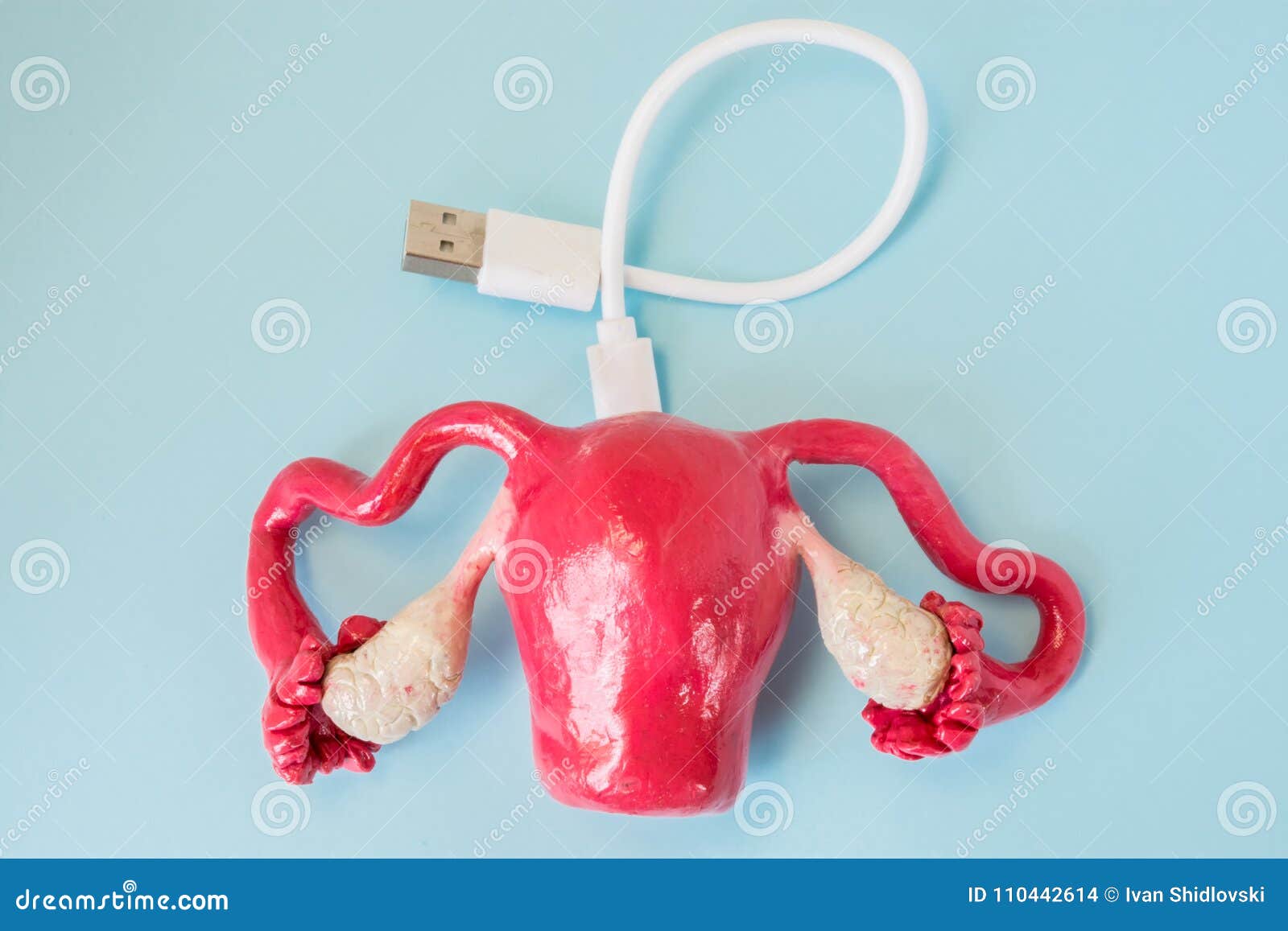 3D Shape of Uterus with Connected by Charging Cord, Cable or for ...