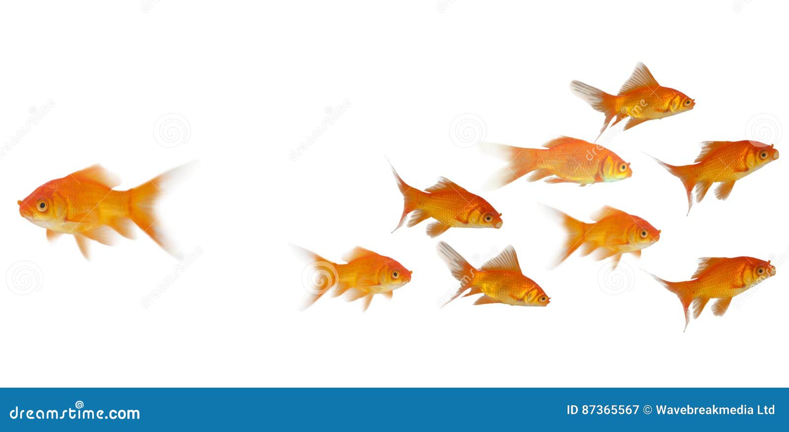 3D Side View of Fish Swimming Stock Image - Image of composite ...