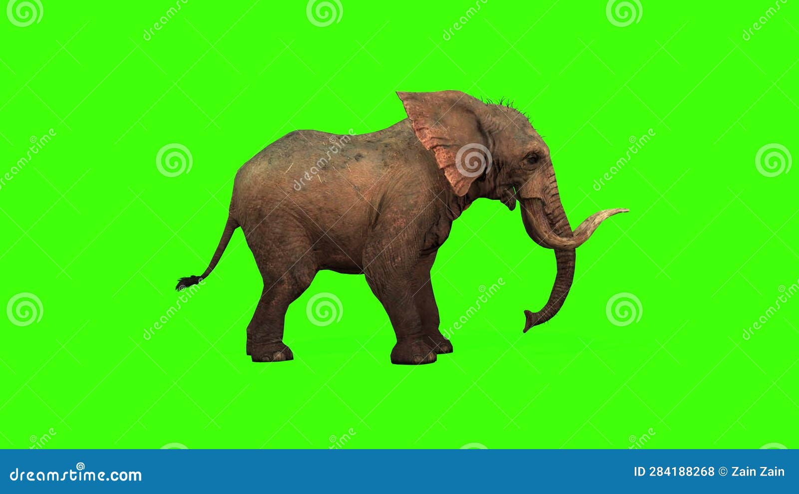 3d Side View of a Large Elephant Attacking with Ivory Tusks Rendering ...