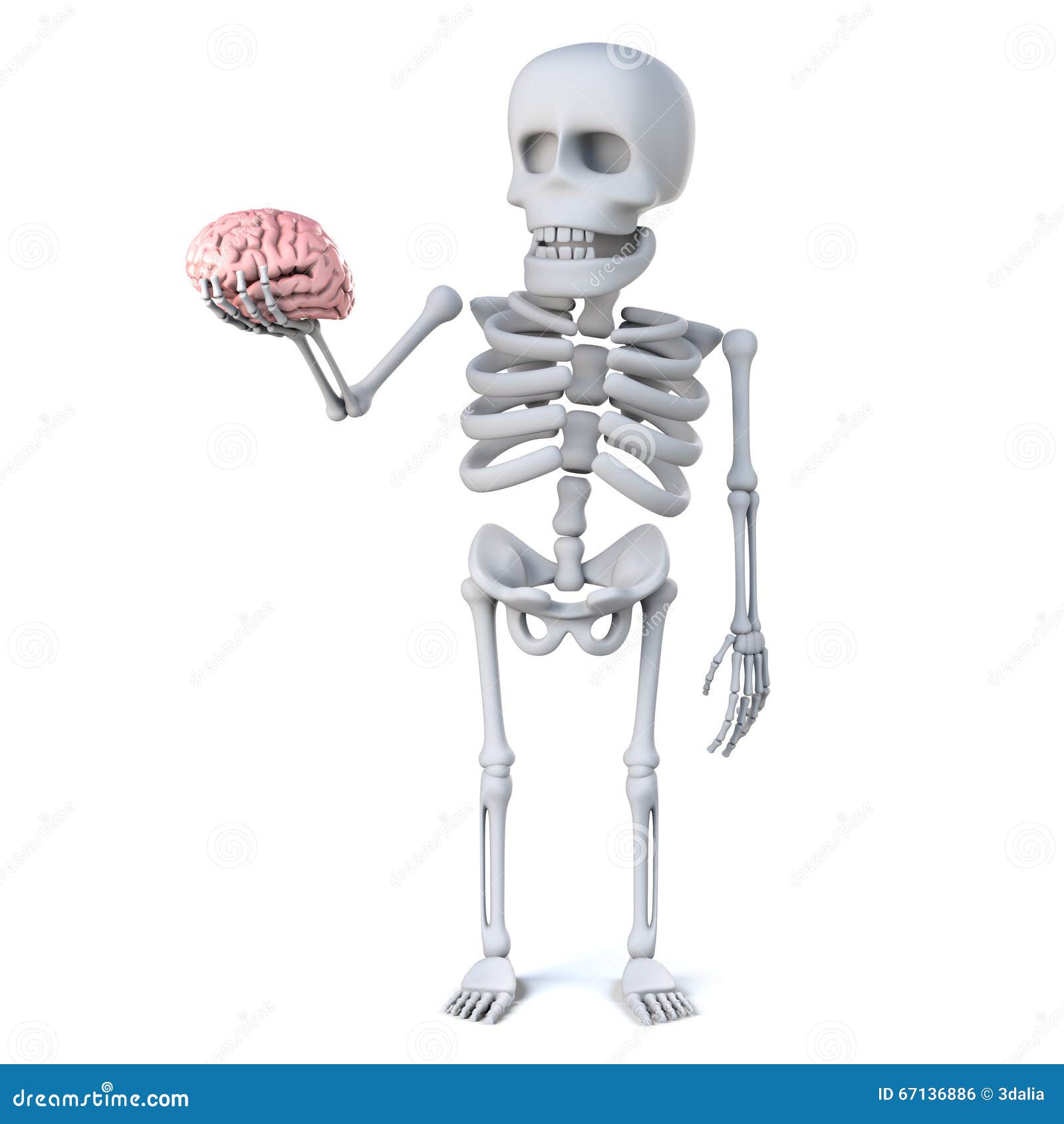 3d Skeleton Has a Nice Looking Brain Stock Illustration - Illustration ...