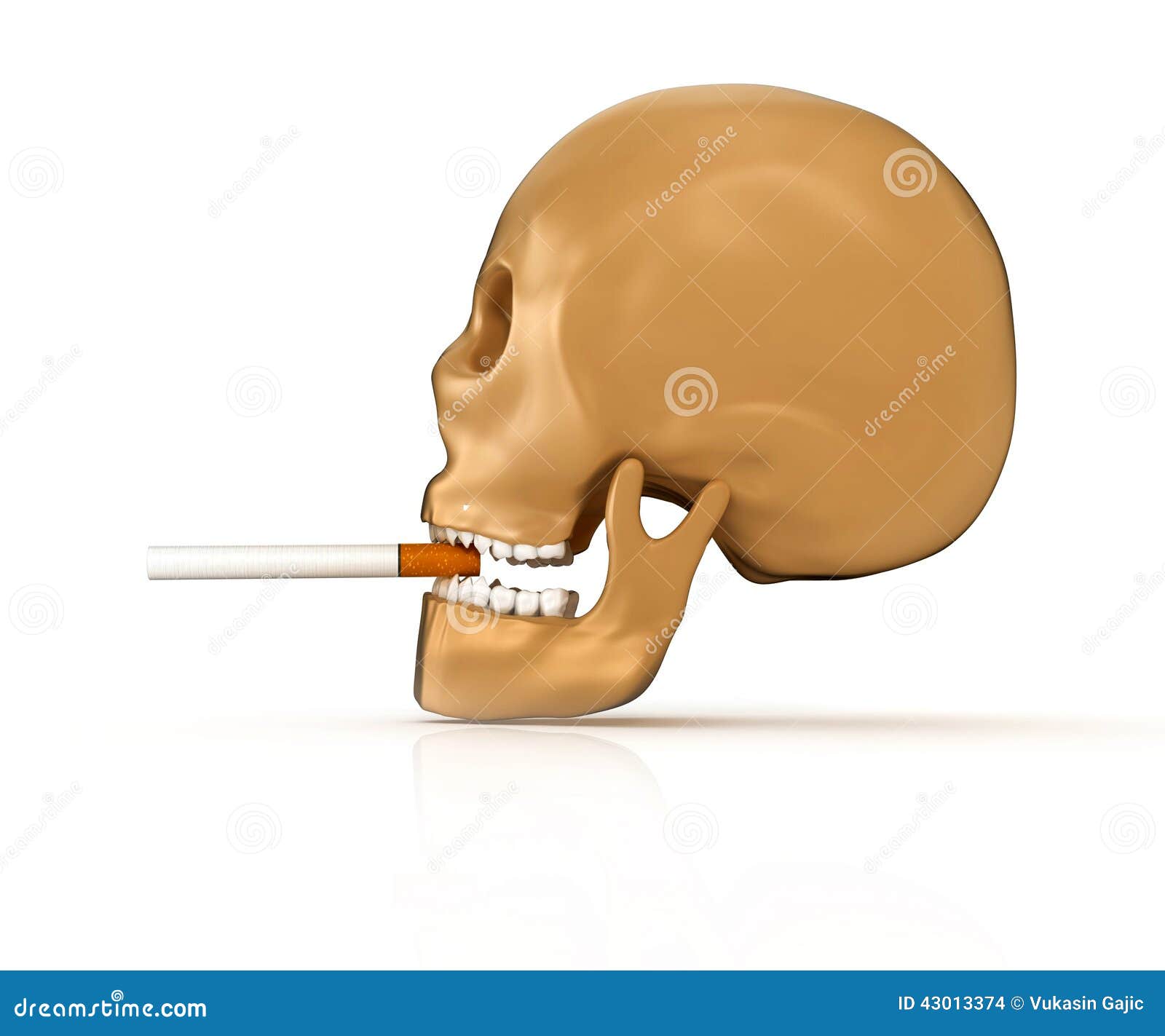 3d skull smoking cigarette stock illustration. Illustration of front ...