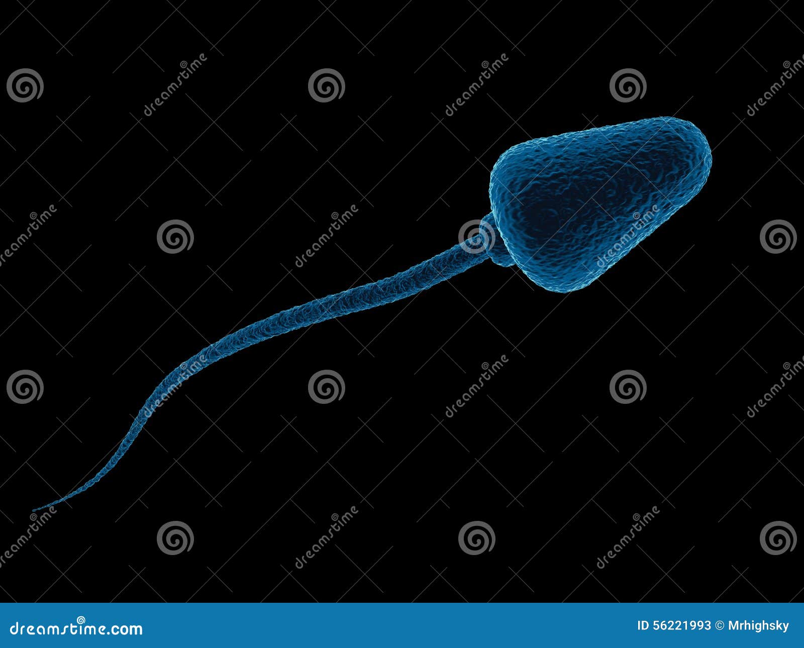 Sperm And Egg Cell. Under The Microscope. Embryology. Natural ...