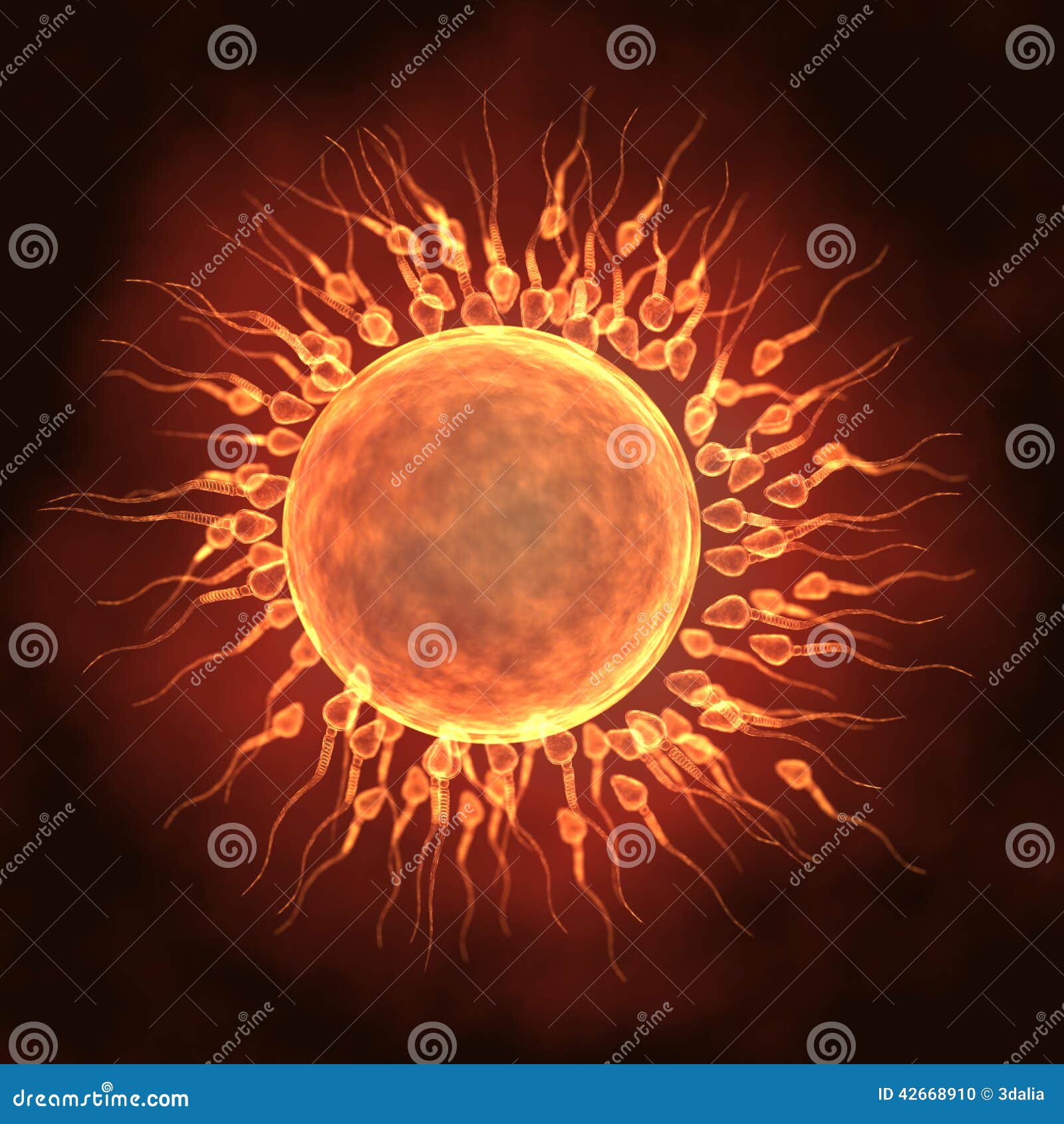 3d Render Of Fertilized Deformed Ova Through Lab Microscope. Royalty ...