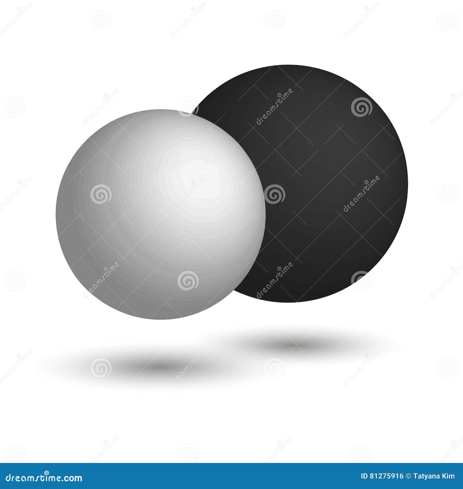 3D Sphere. Black and White Realistic Balls. Contrast. Stock Vector ...