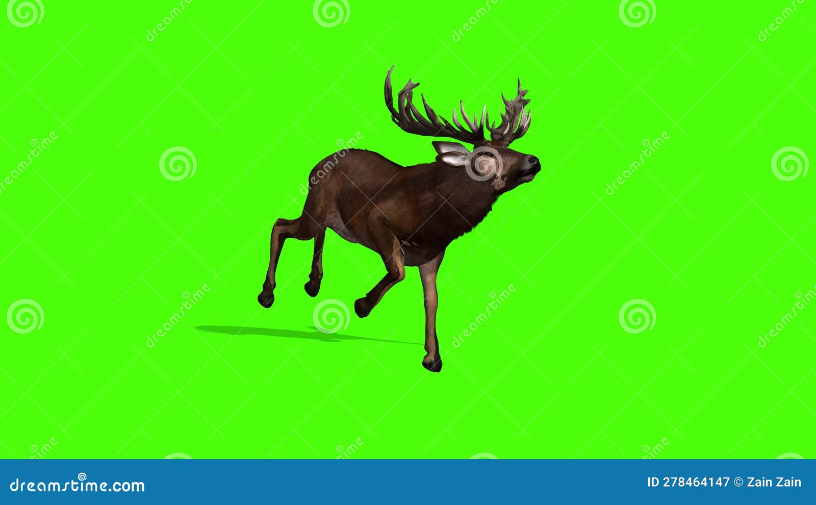 3d Stag Fast Running or Jumping on the Chroma Key Side View, 4k Deer ...