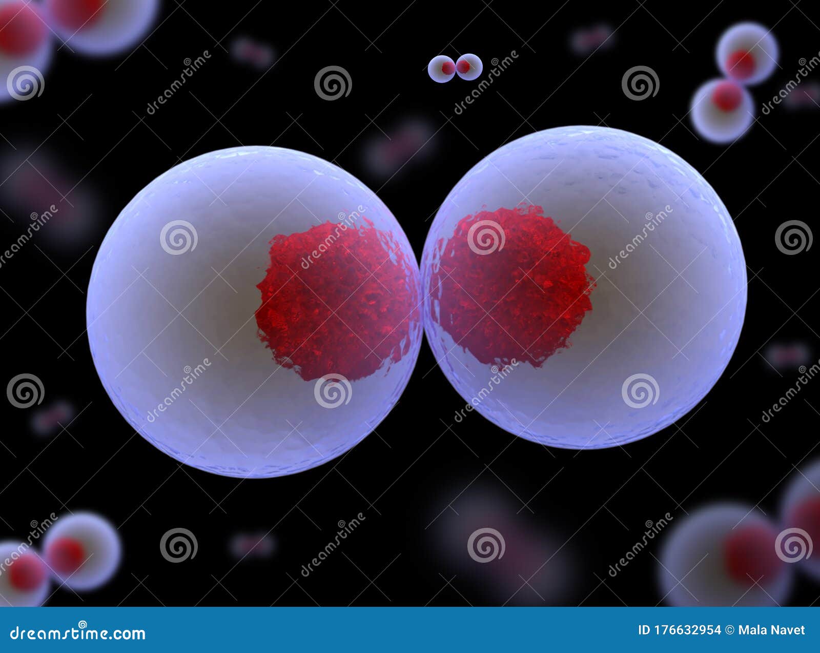 Nucleolus, Nucleus, 3d Stem Cell. Stock Illustration - Illustration of ...