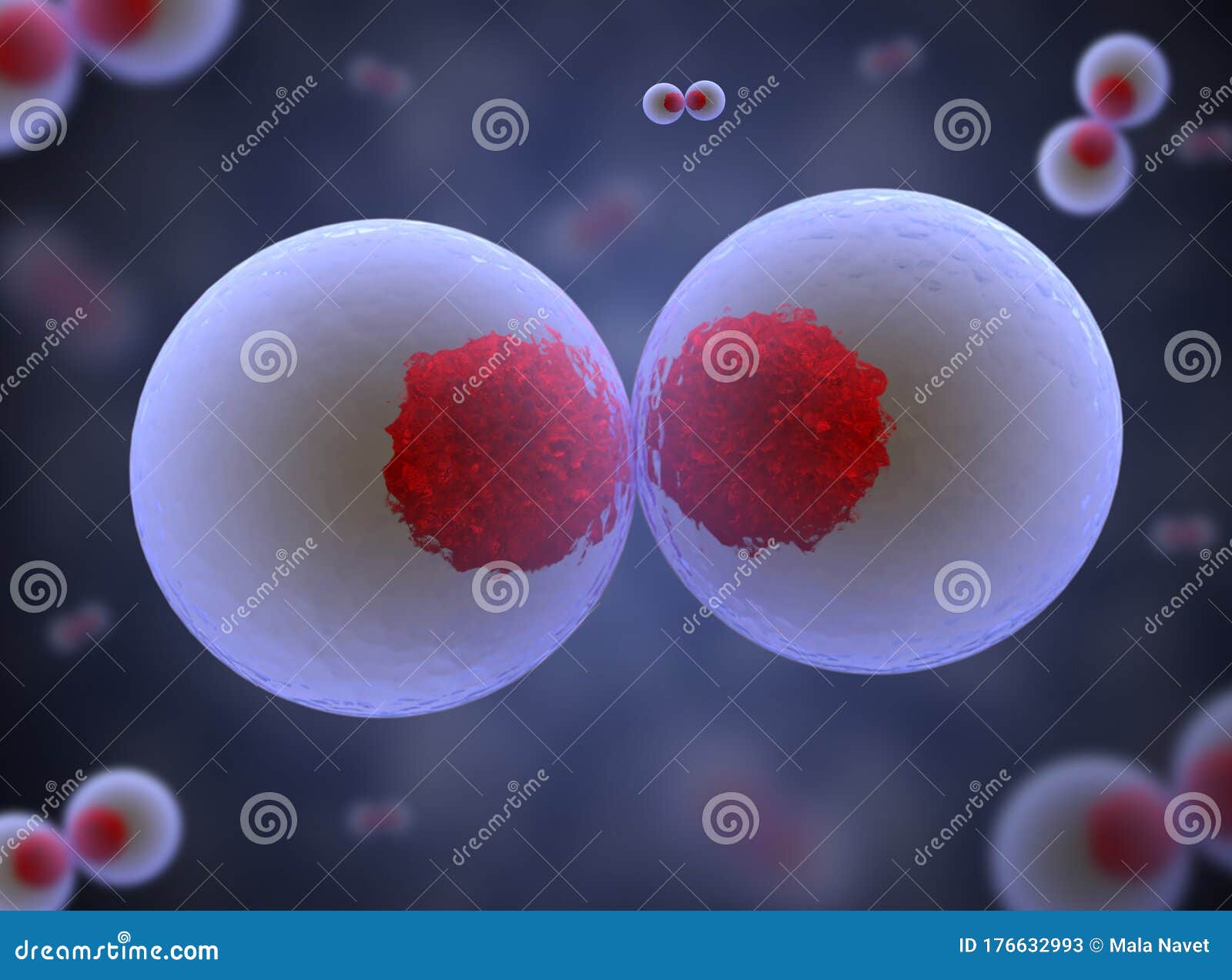 Nucleolus, Nucleus, 3d Stem Cell. Stock Illustration - Illustration of ...