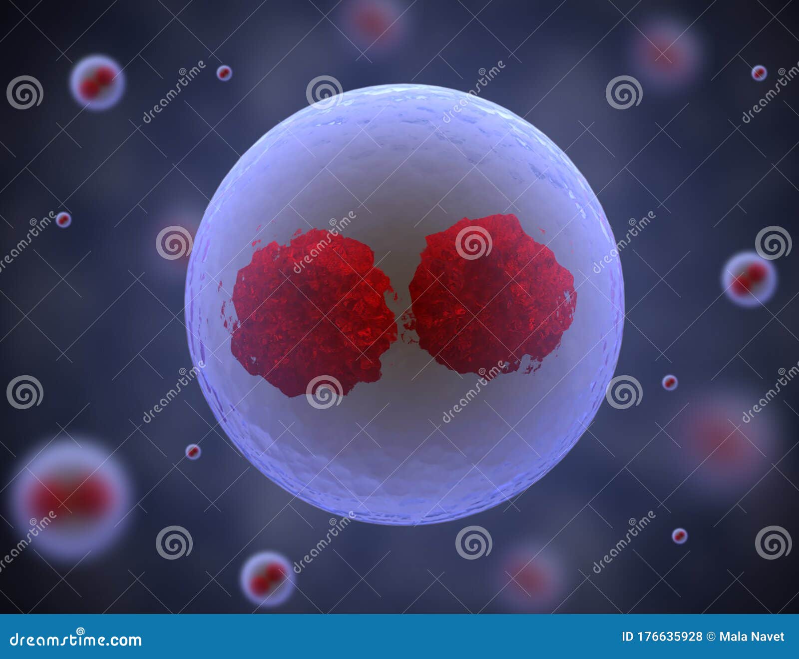 3d Stem Cell. Large Number of Bactetianucleolus, Nucleus, 3d Stem Cell ...