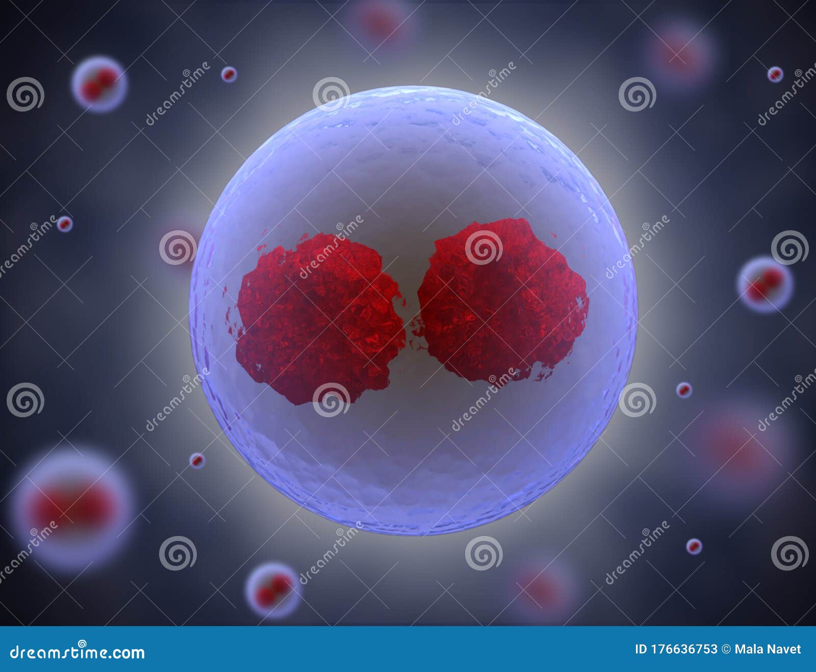 Nucleolus, Nucleus, 3d Stem Cell. Stock Illustration - Illustration of ...