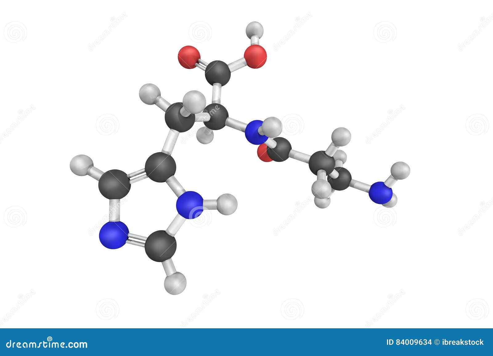 3d Structure of Carnosine, a Dipeptide Molecule Stock Illustration ...