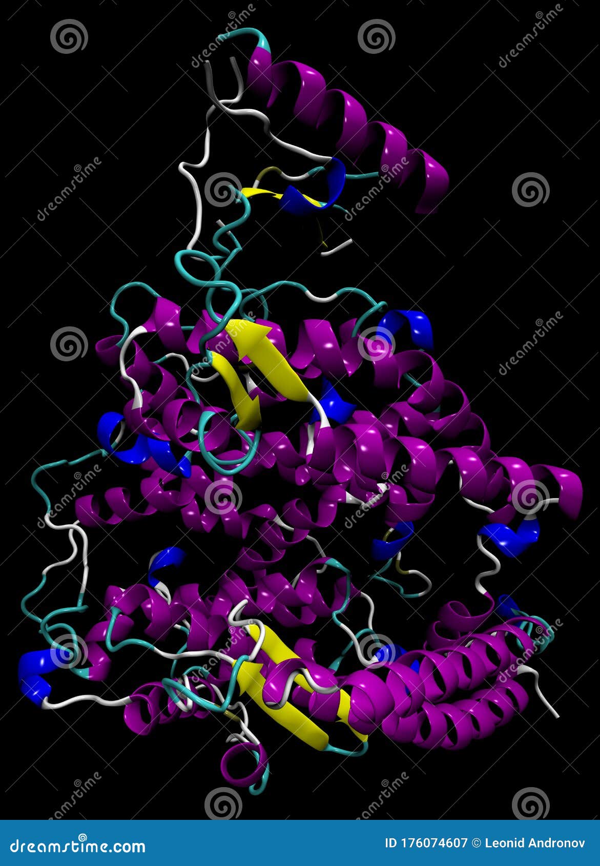 3D Structure of the Human ACE2 Enzyme, the Coronavirus SARS-CoV-2 Entry ...