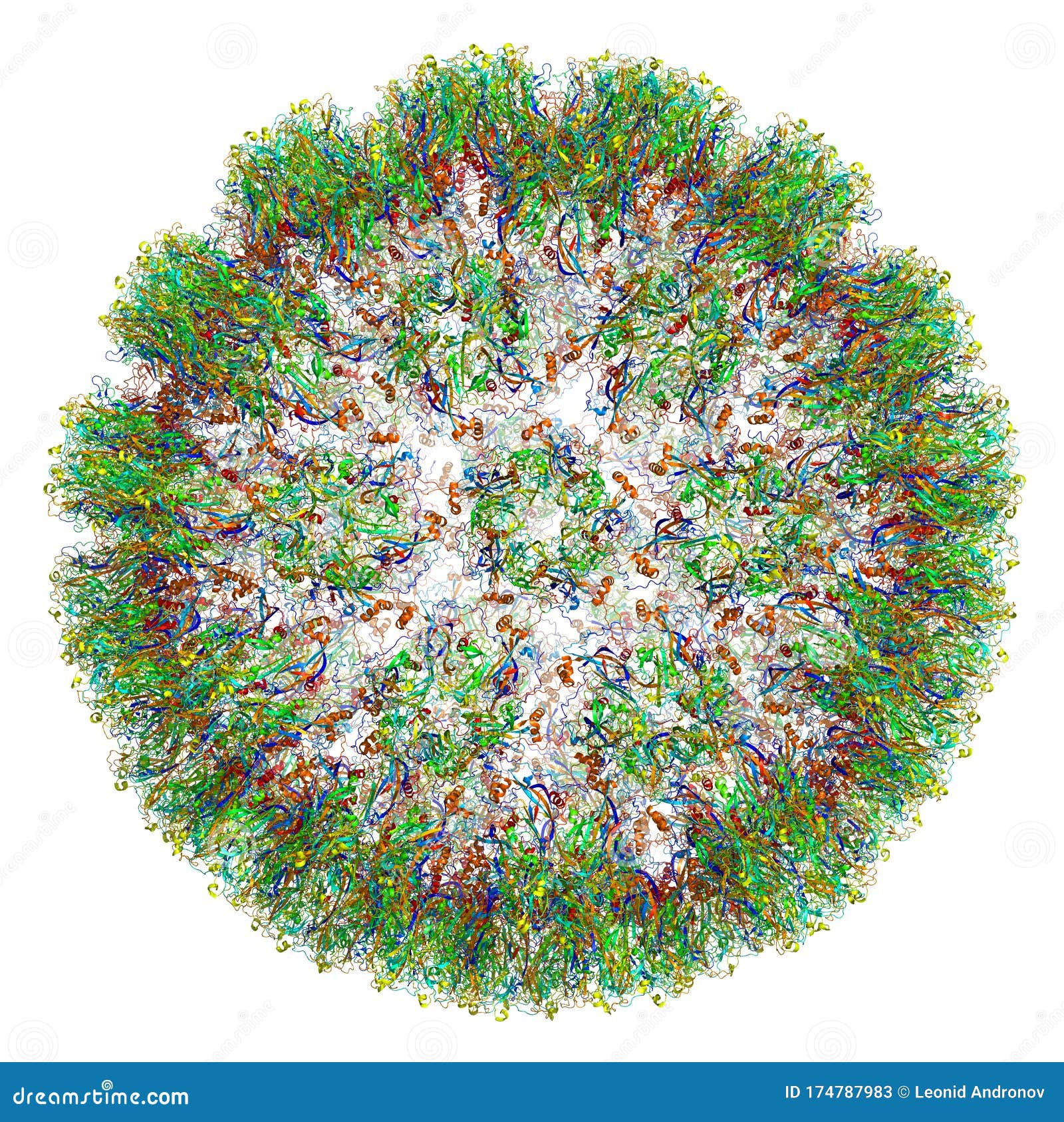 3D Structure of Human Papillomavirus Type 16, Associated with Cancers ...
