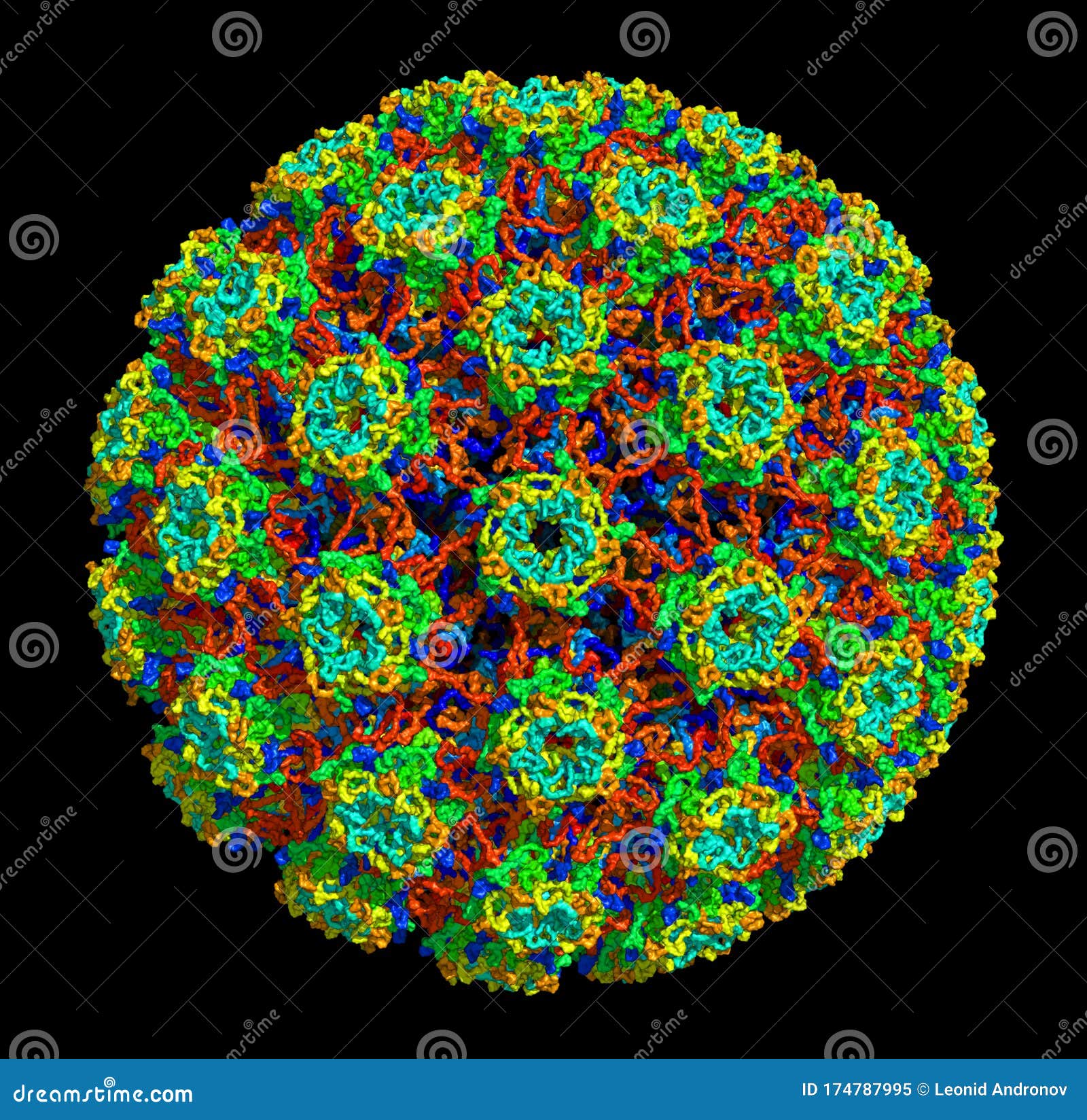 3D Structure of Human Papillomavirus Type 16, Associated with Cancers ...