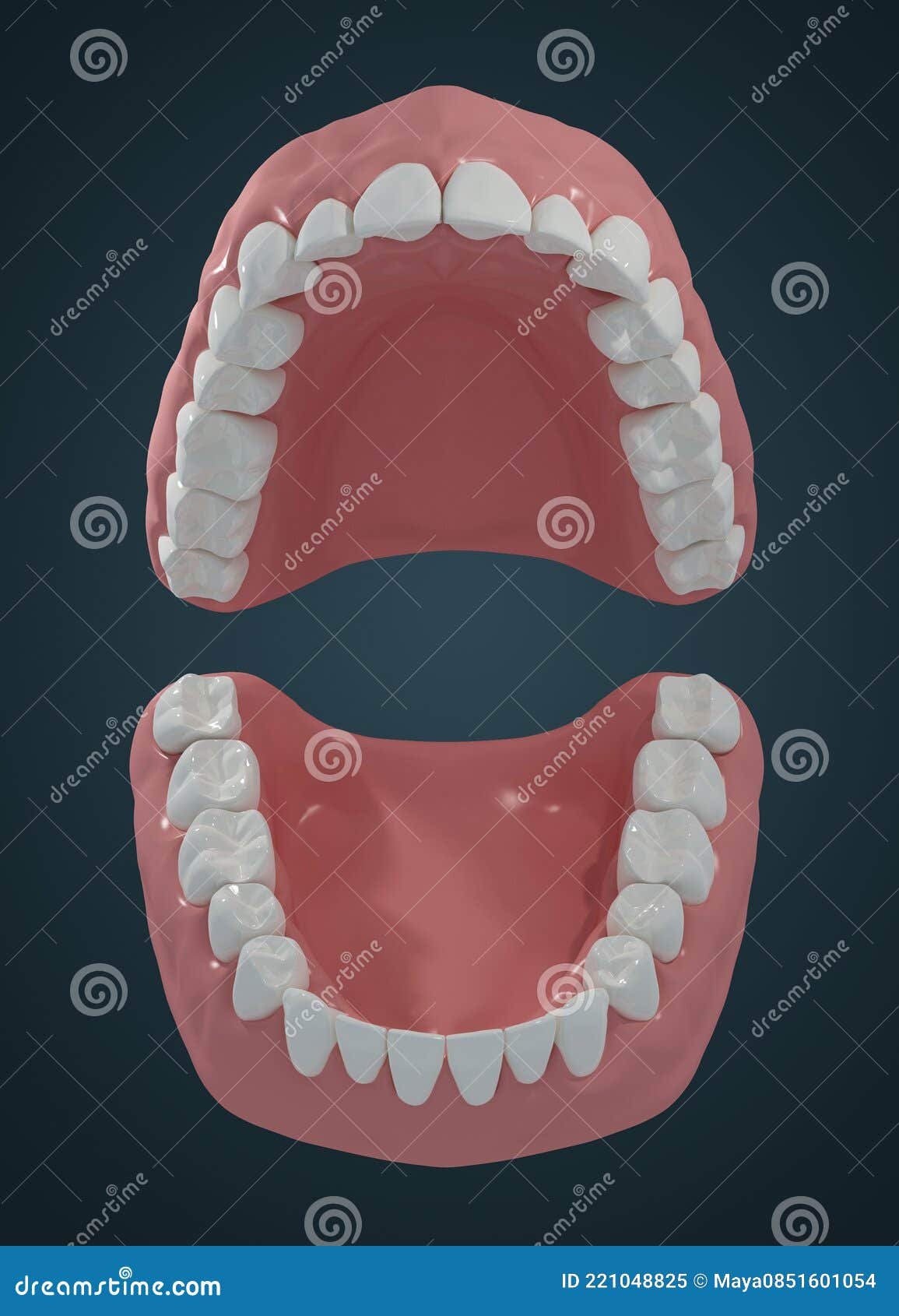 3D Rendering Illustration of Teeth Stock Illustration - Illustration of ...