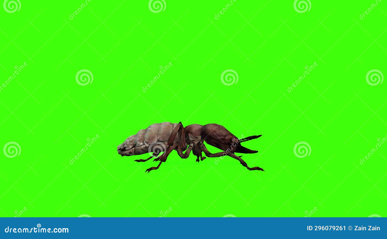 3D Termite Insect Walking Loop on Chroma Key with Cycle View Stock ...