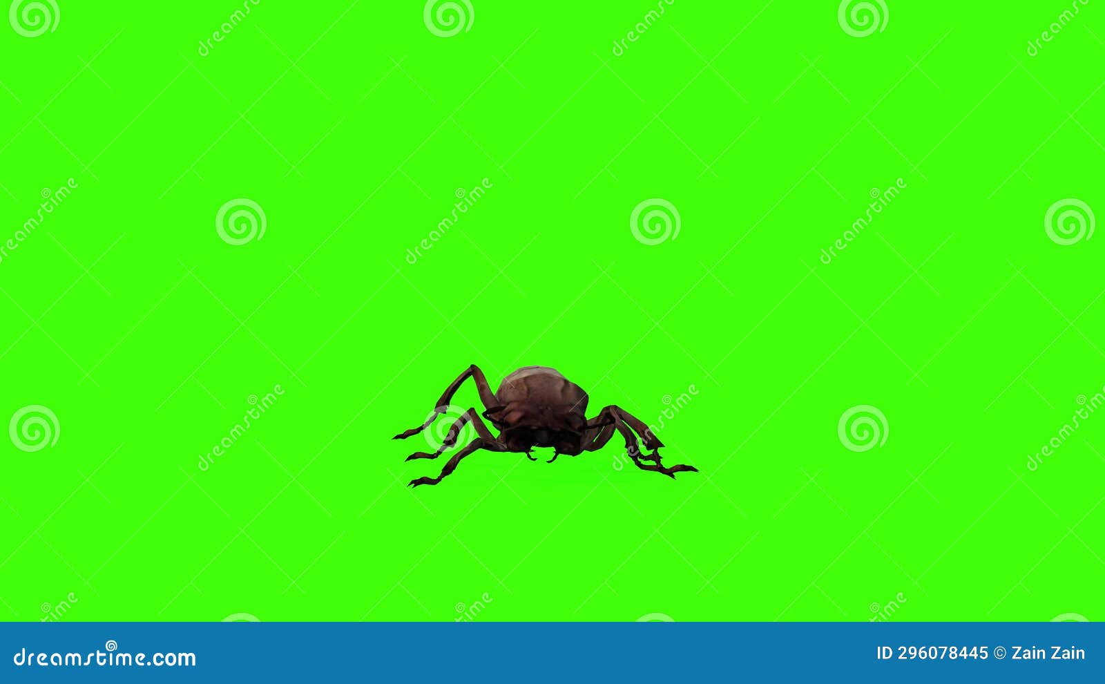 3D Termite Insect Walking Loop on Chroma Key with Front View, 4k ...