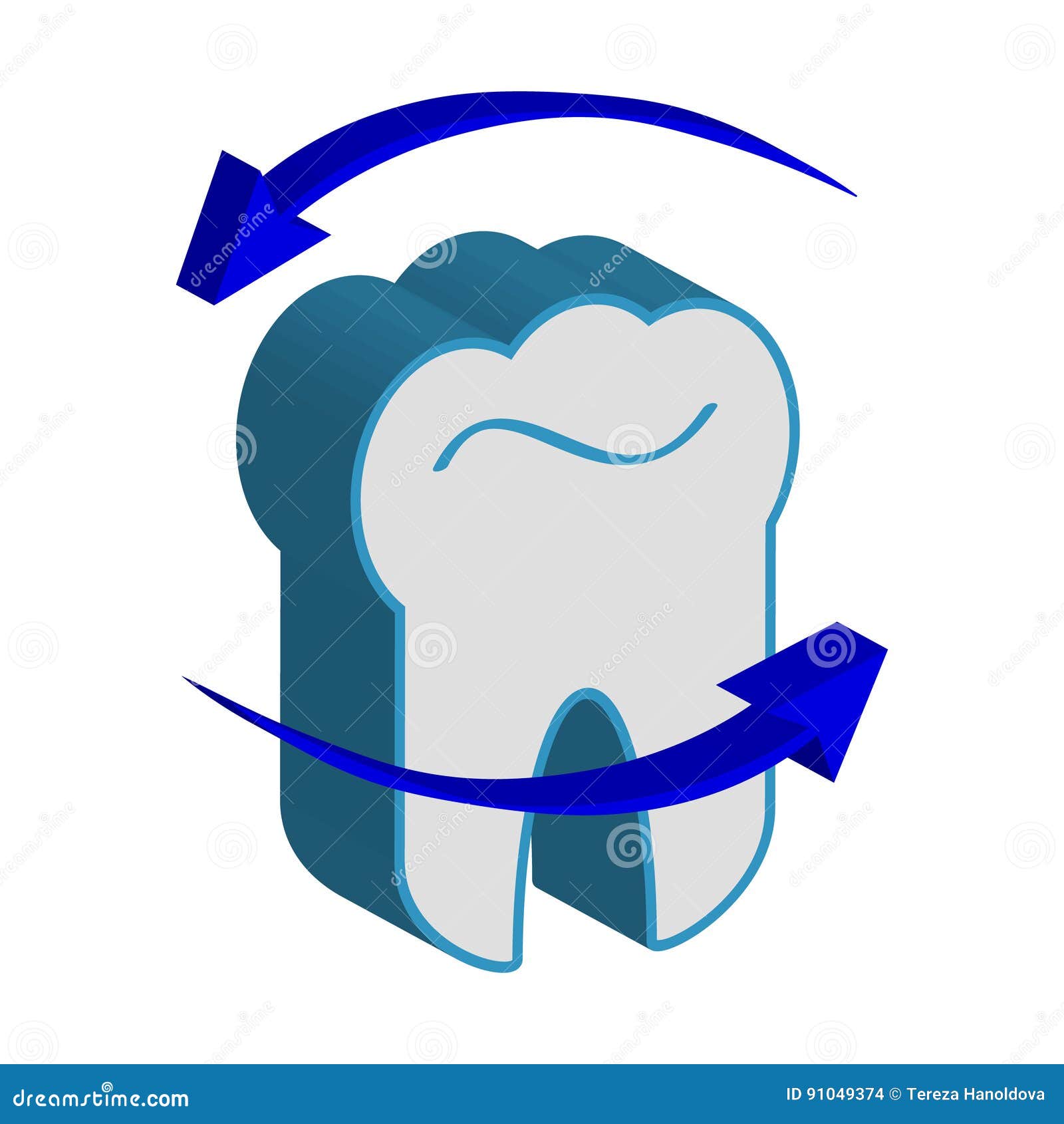 3D Tooth with Arrows on White Background. Stock Vector - Illustration ...
