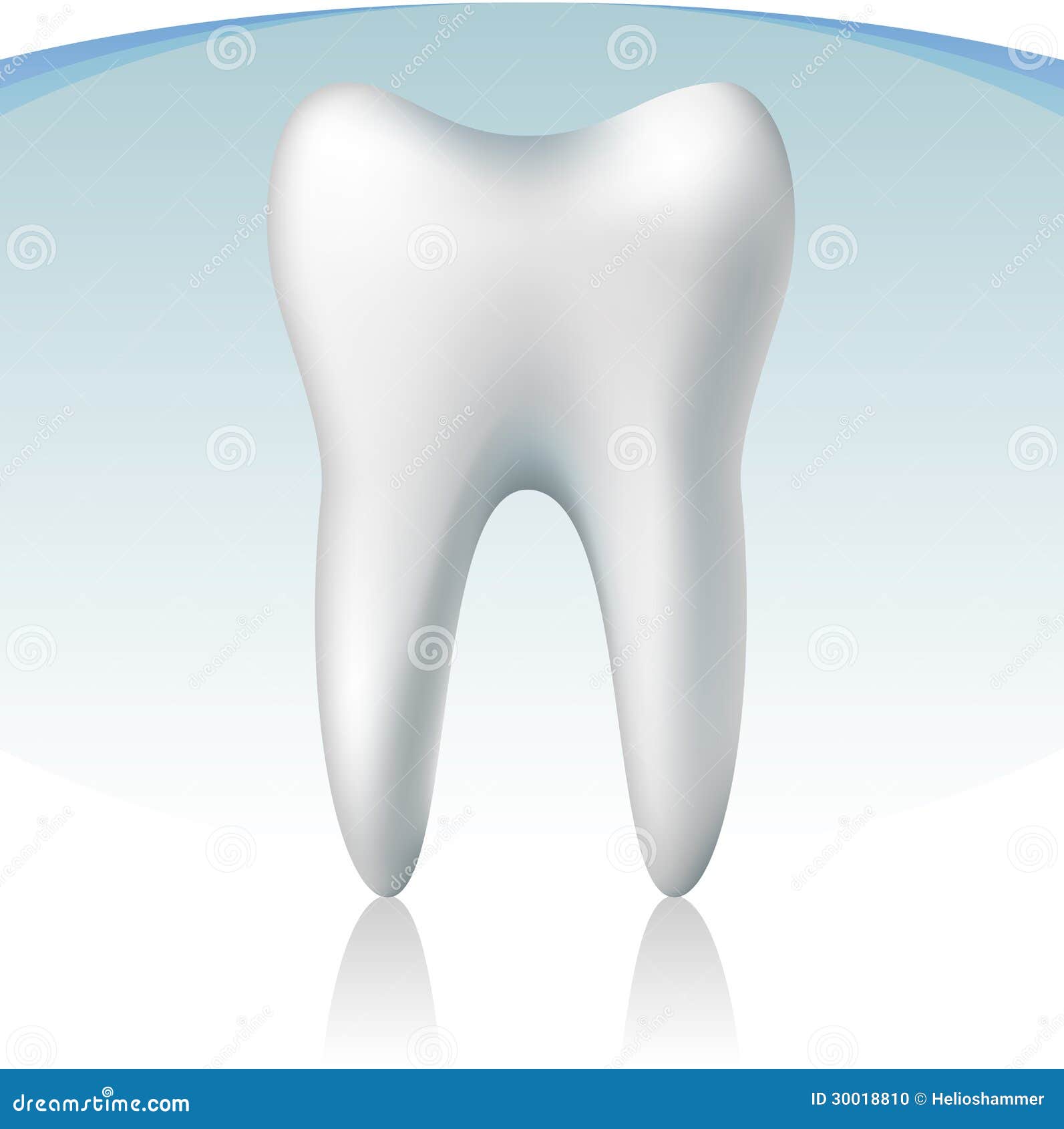 3d tooth stock vector. Illustration of enamel, healthy - 30018810