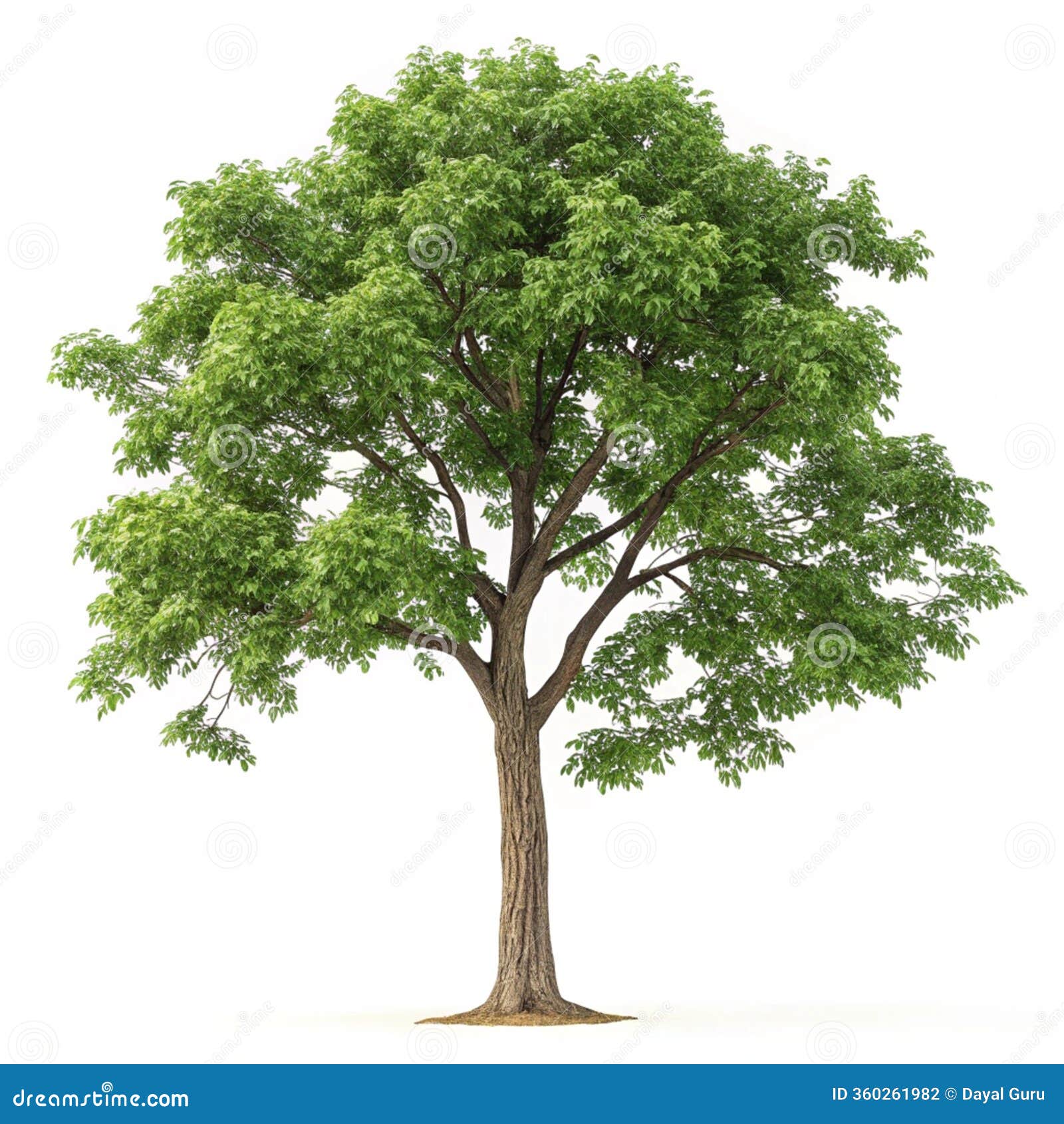 3D Tree Illustration Isolated on White Background Stock Illustration ...