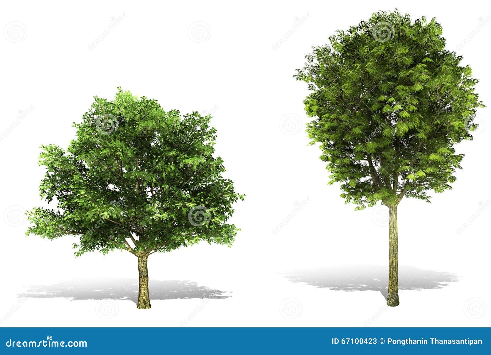 3d Oak Tree Render With Gold Leaf Stock Photo | CartoonDealer.com #8049888