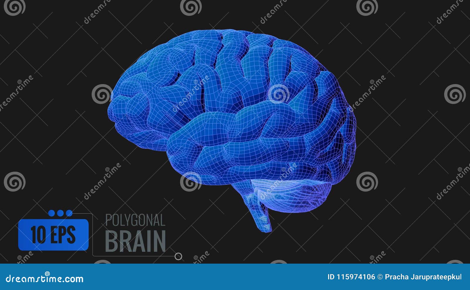 Blue Wireframe Brain on Dark BG Stock Vector - Illustration of icon ...
