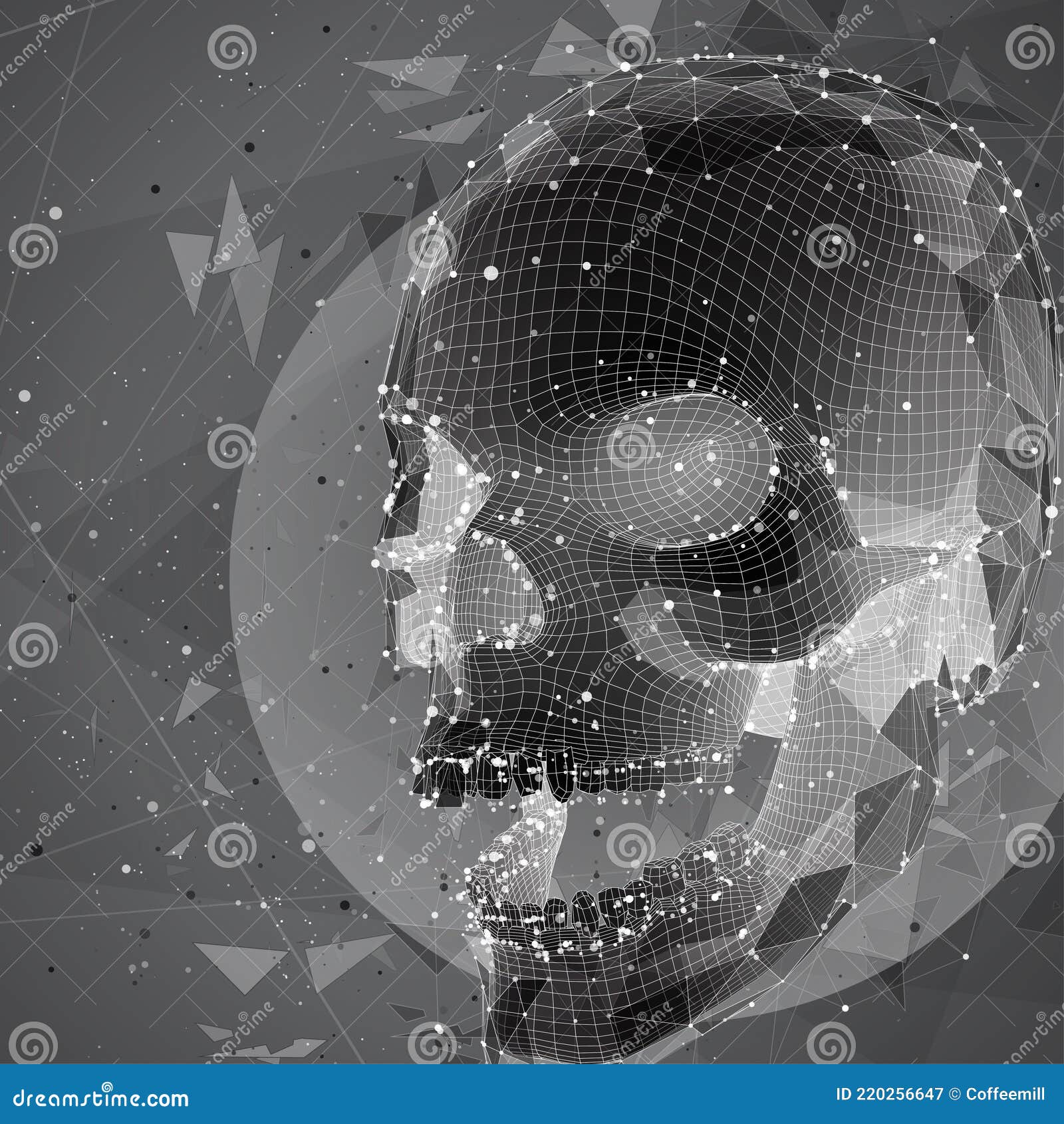 3d Vector Human Skull of All Segments Explodes Stock Vector ...